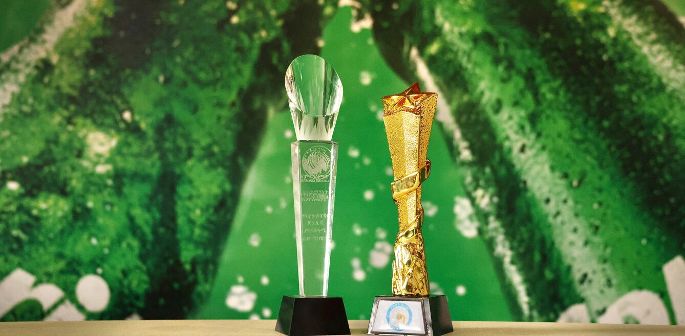Coca-Cola Beverages Africa in Ethiopia honoured as a top taxpayer - CCBA